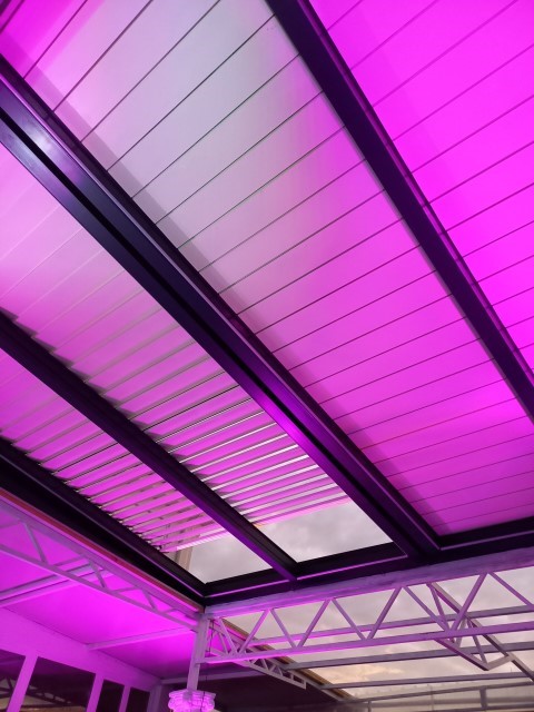 Projekti - PerGoline